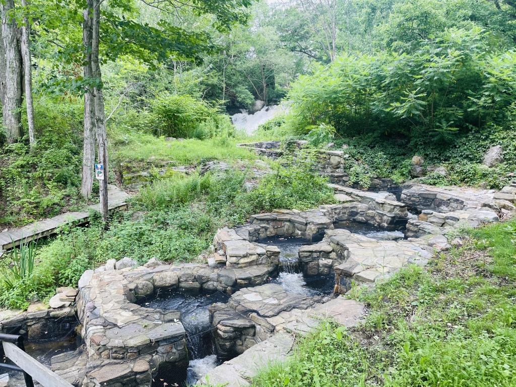 Damariscotta Fish Ladder - Dam Atlas